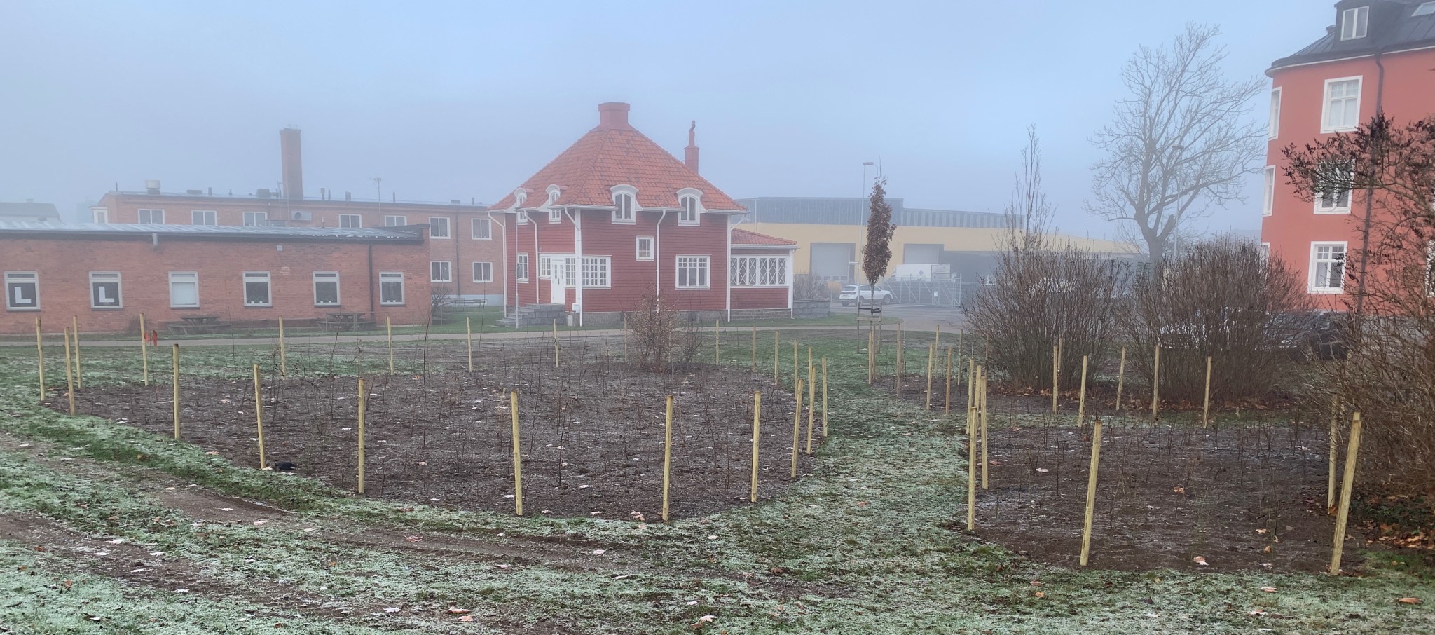 MIKROSKOGEN KOSTADE KALMARS SKATTEBETALARE 200 000 KRONOR